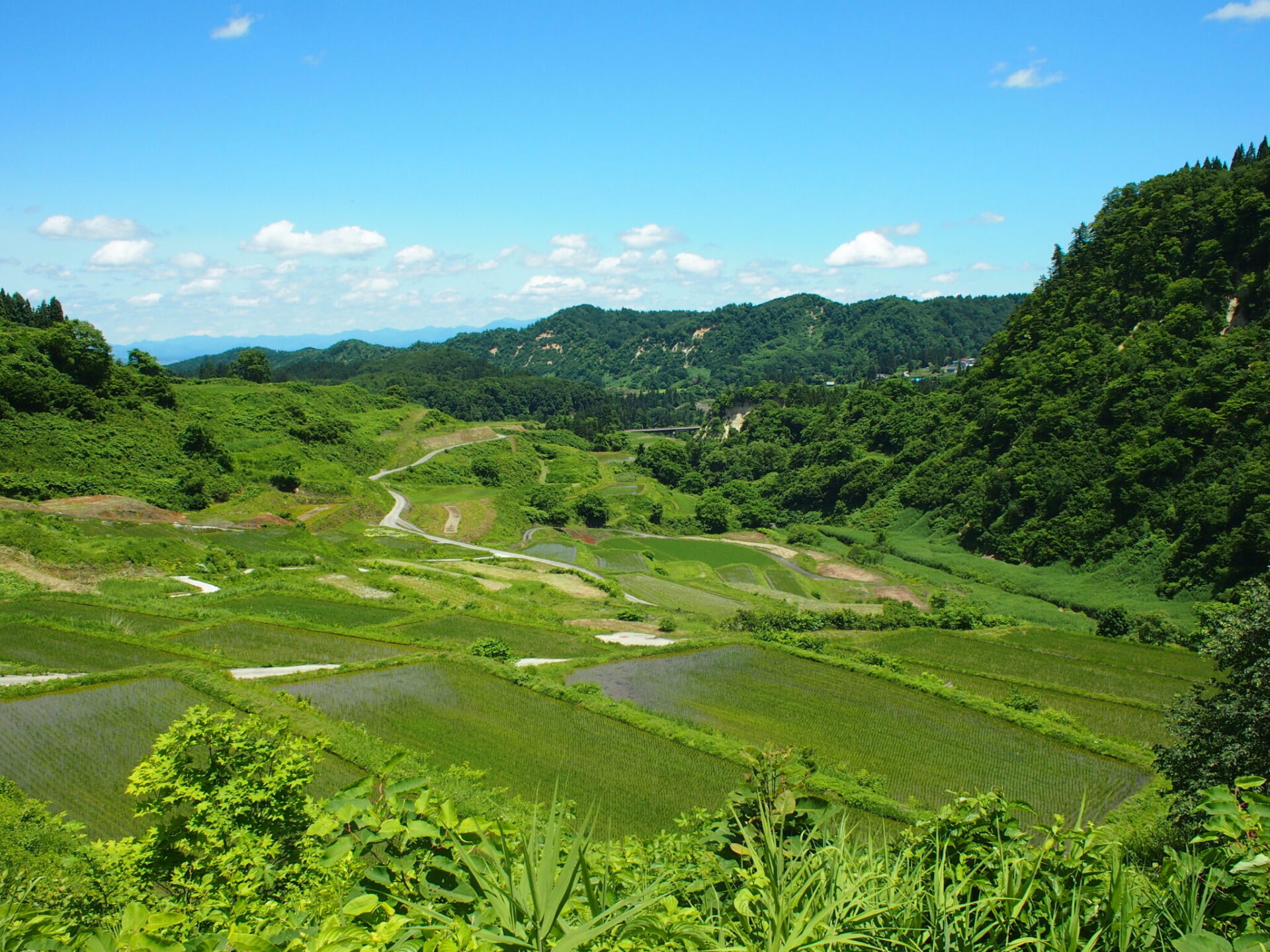 Shikamura Rice Terraces | 山形 まるごと観光情報サイト「VISIT YAMAGATA」